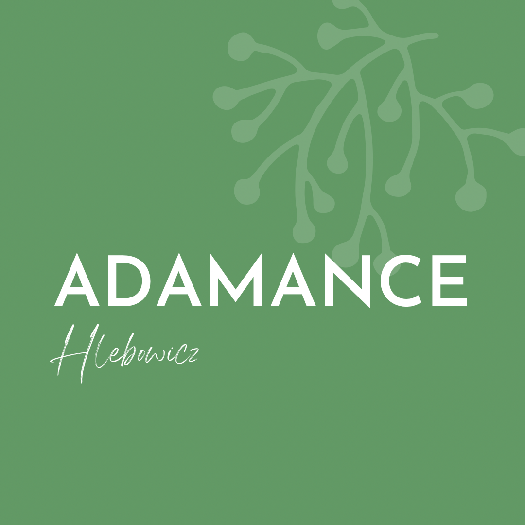 Adamance coaching - Oegstgeest, NL-ZH - Nextdoor