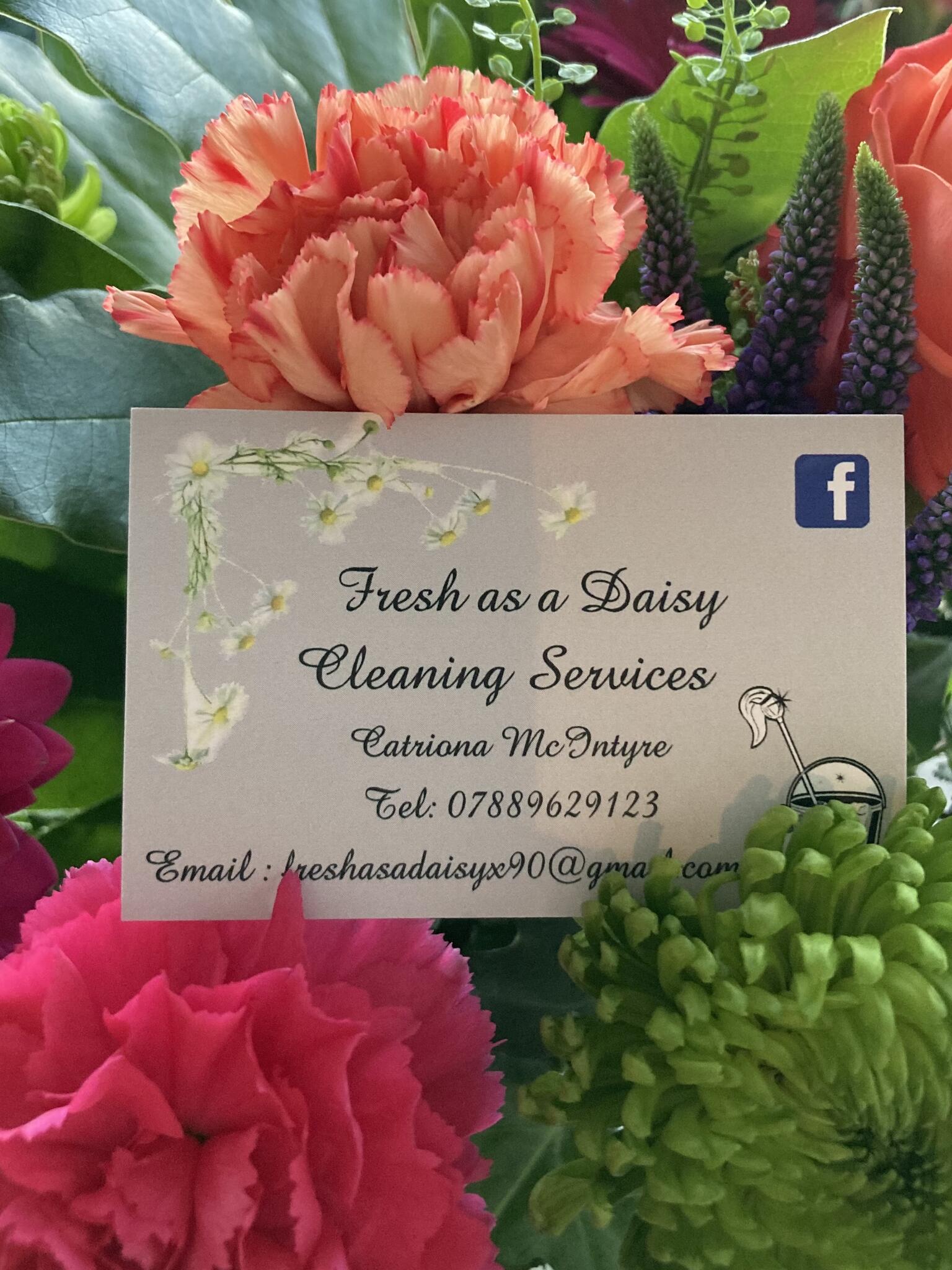 Fresh As A Daisy Cleaning Services - Nextdoor