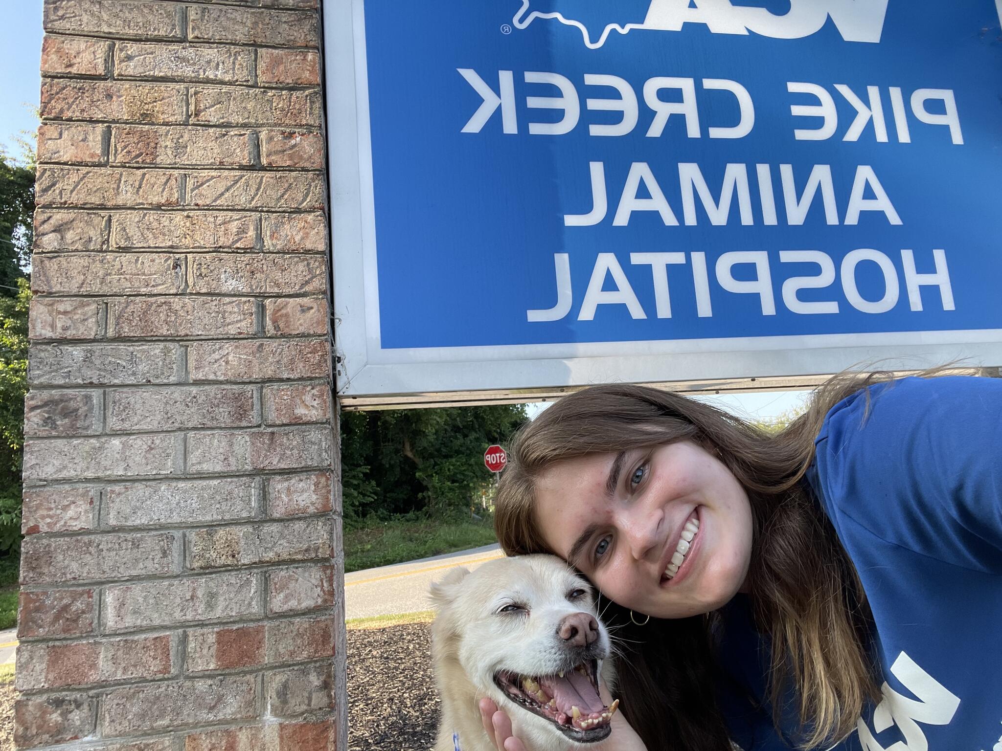 Veterinary Medicine Vca Cherokee Animal Hospital 🏧 Vca Companion ...