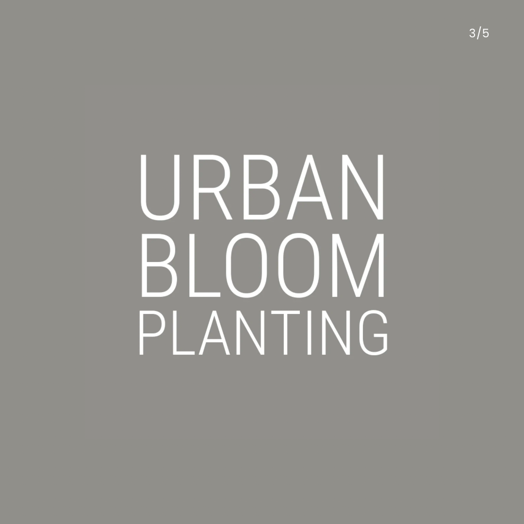 Urban Bloom Planting - Nextdoor
