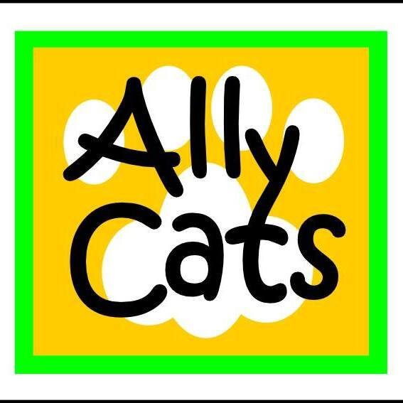 Ally Cats Rescue - Bradford, GB-ENG - Nextdoor