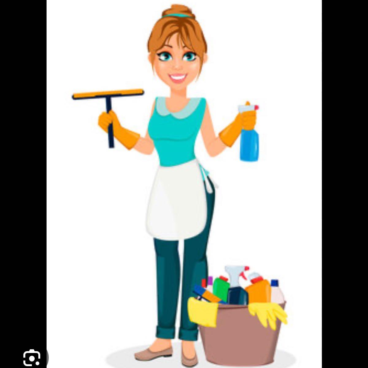 Total Reset Cleaning - Clover, SC - Nextdoor