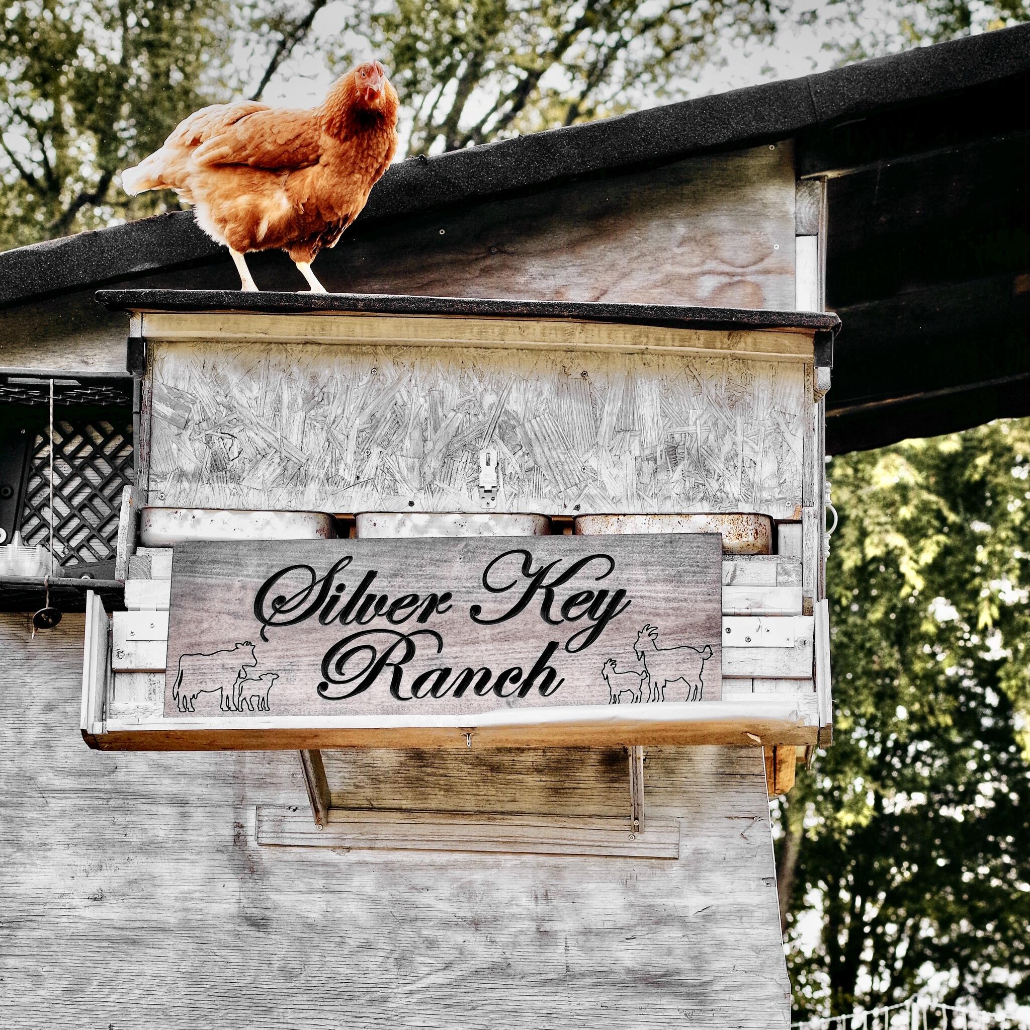 Silver Key Ranch - Catlett, VA - Nextdoor