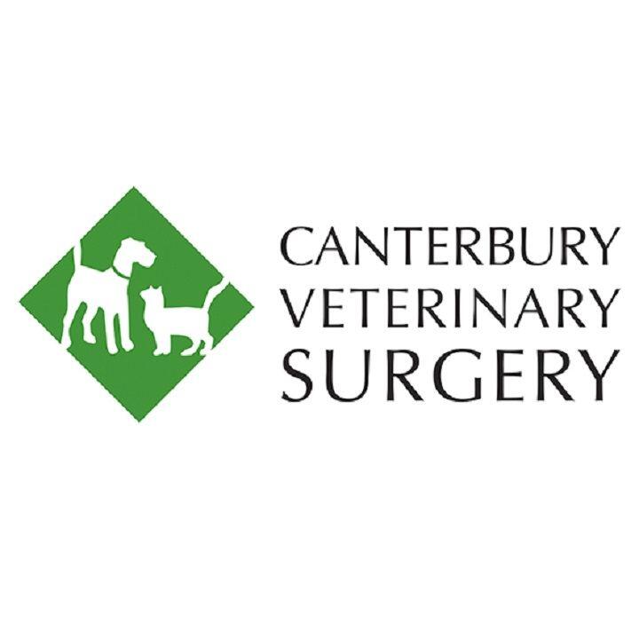 Canterbury Veterinary Surgery - Canterbury, England - Nextdoor