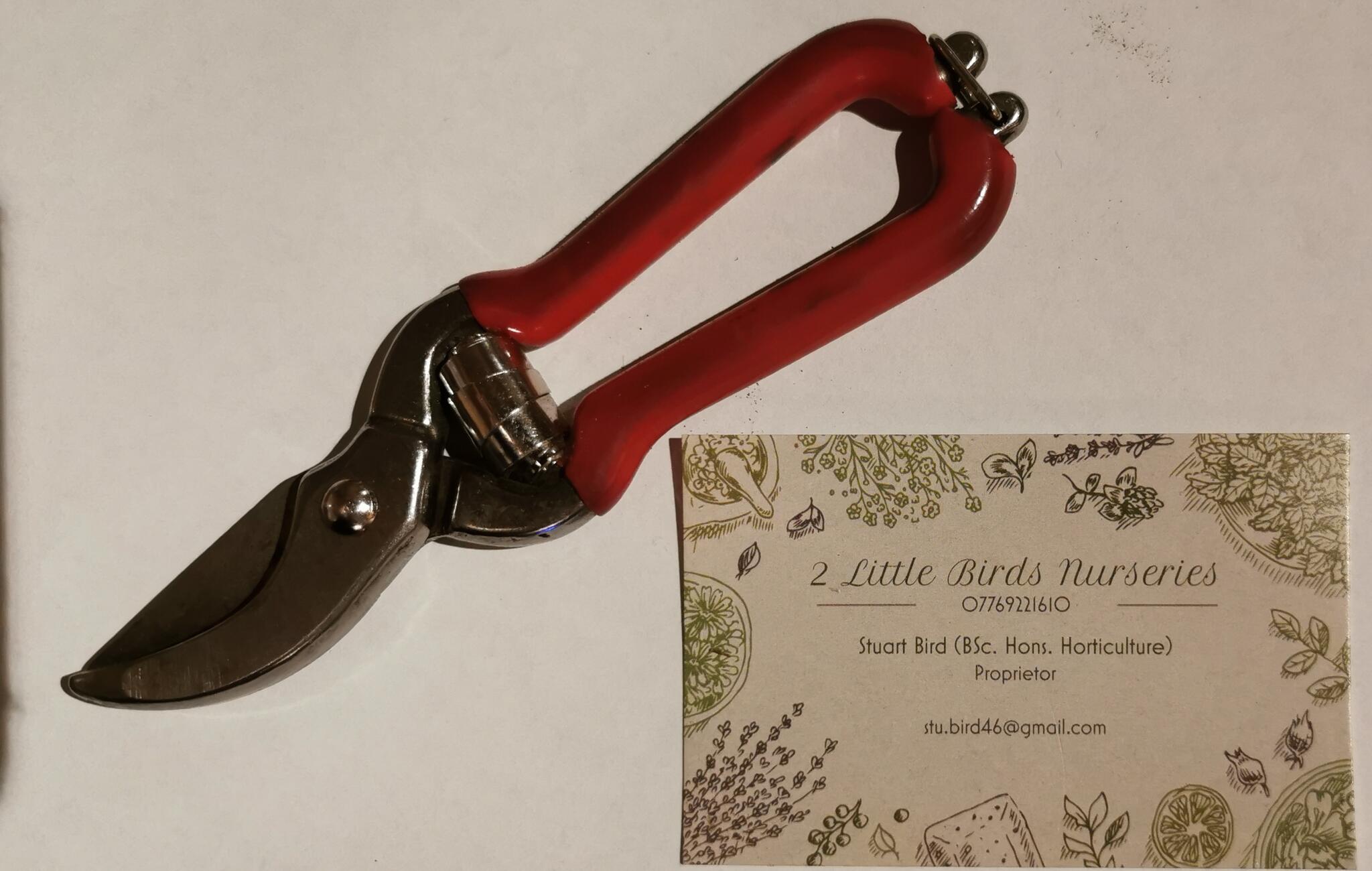 Stuart Bird - Nextdoor