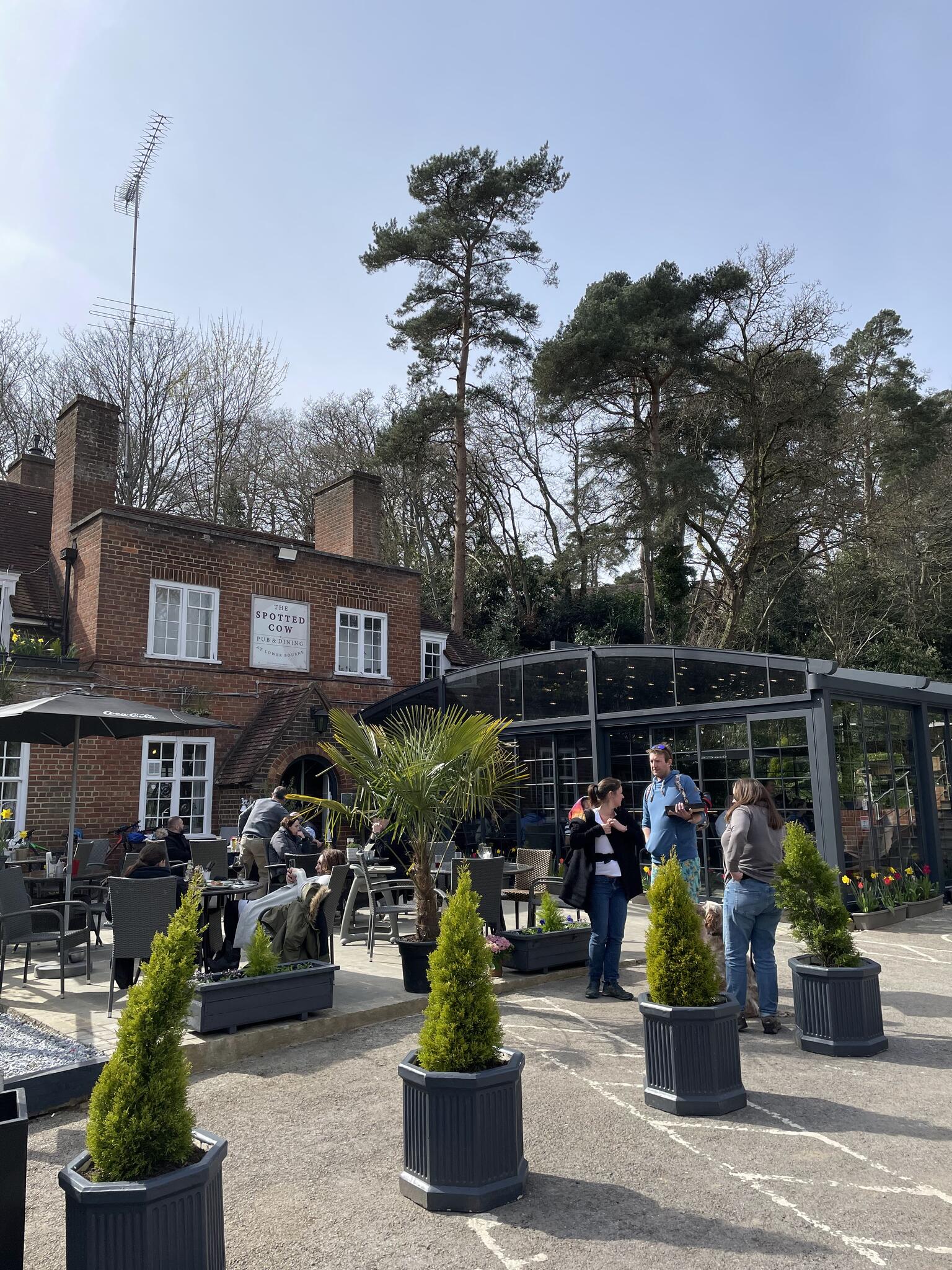 The Spotted Cow - Farnham - Nextdoor