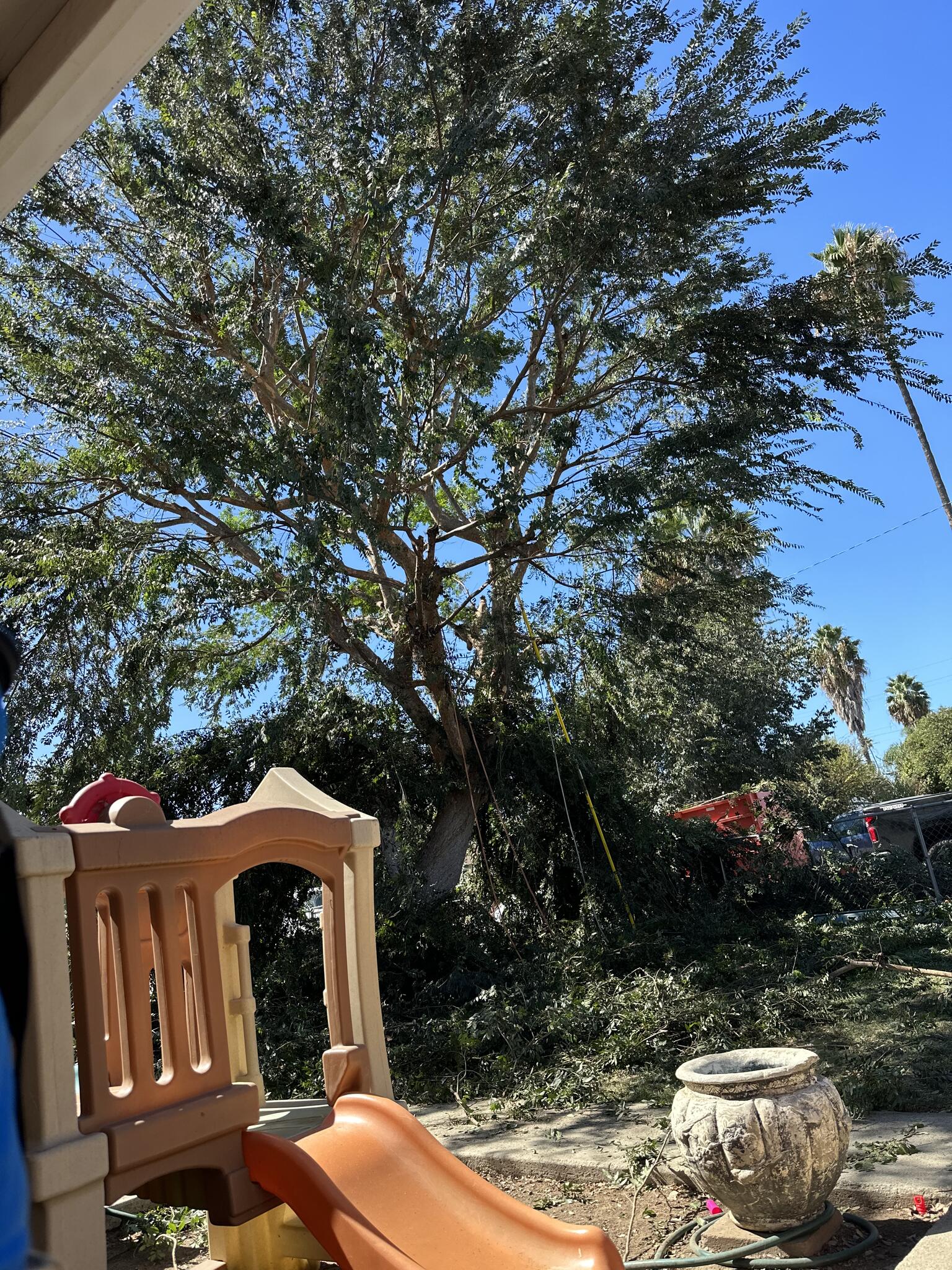 Clear View Tree Service - Chino Hills, CA - Nextdoor
