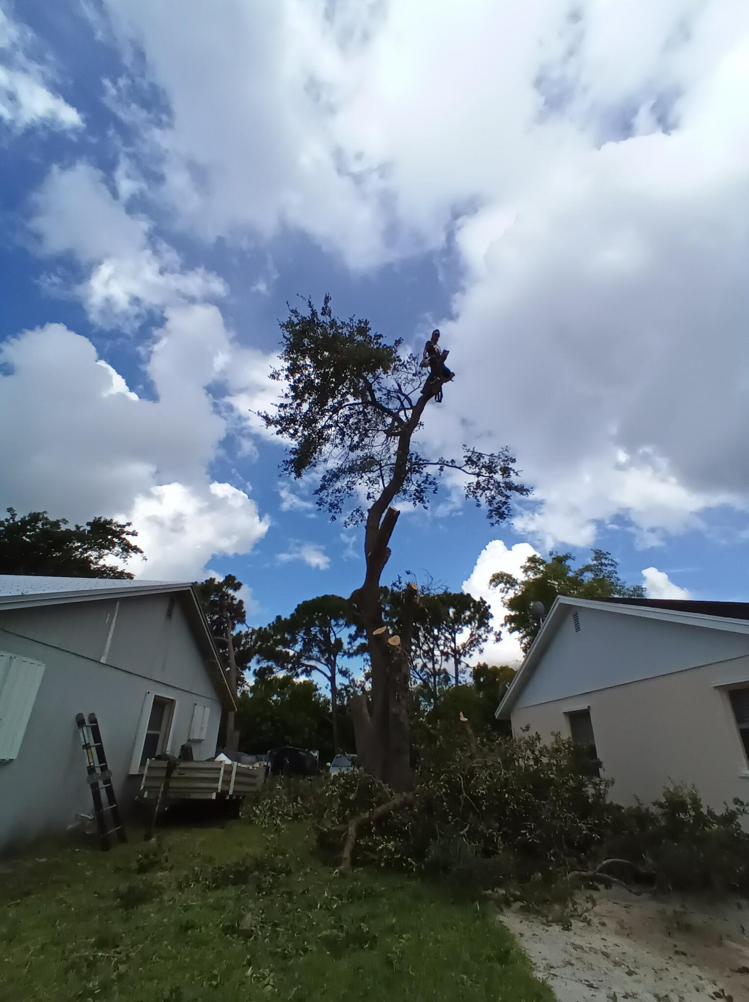 Monkey Joe's Tree service - Palm City, FL - Nextdoor