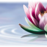 Bios Healing Therapies - Vodder Lymphatic Specialist - Richmond - Nextdoor