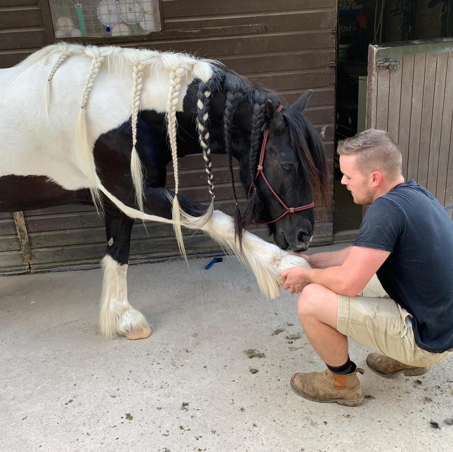 JRC Animal Osteopath - Nextdoor