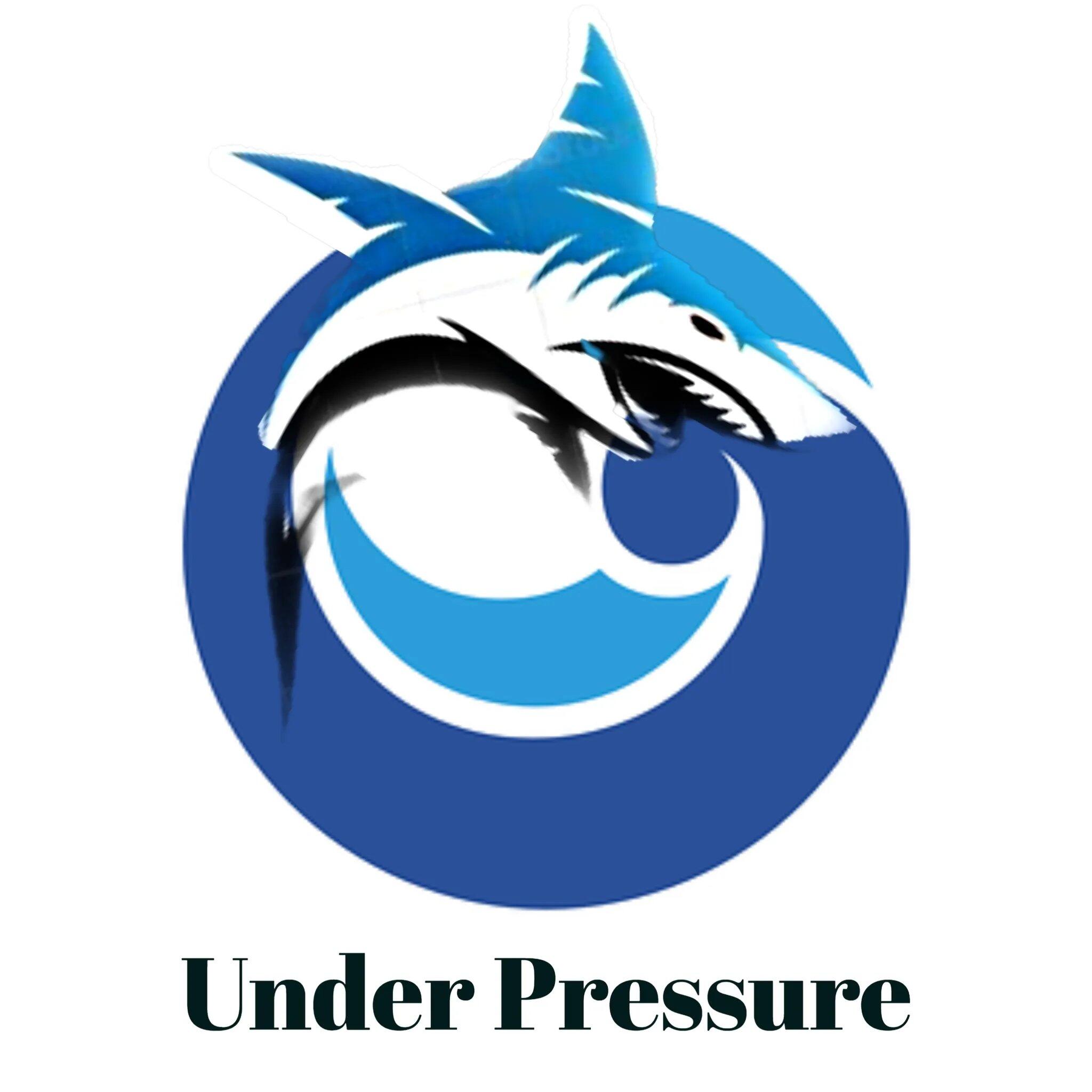 UNDER PRESSURE - Riverview, FL - Nextdoor