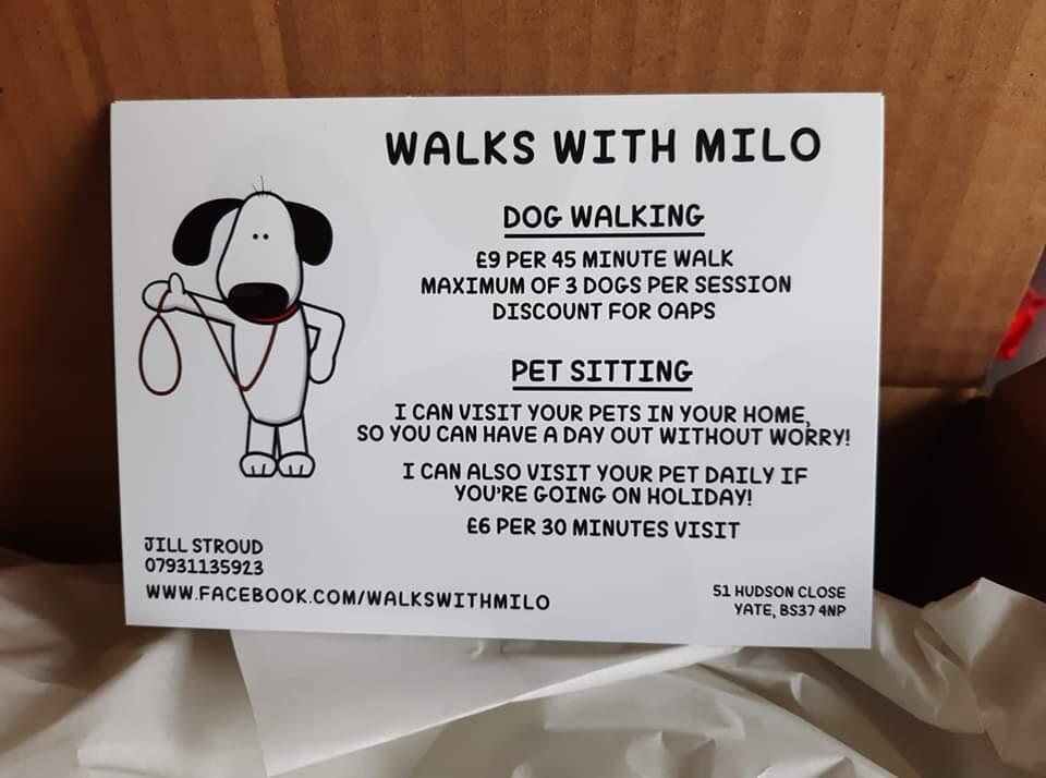 Walks With Milo - Bristol, England - Nextdoor