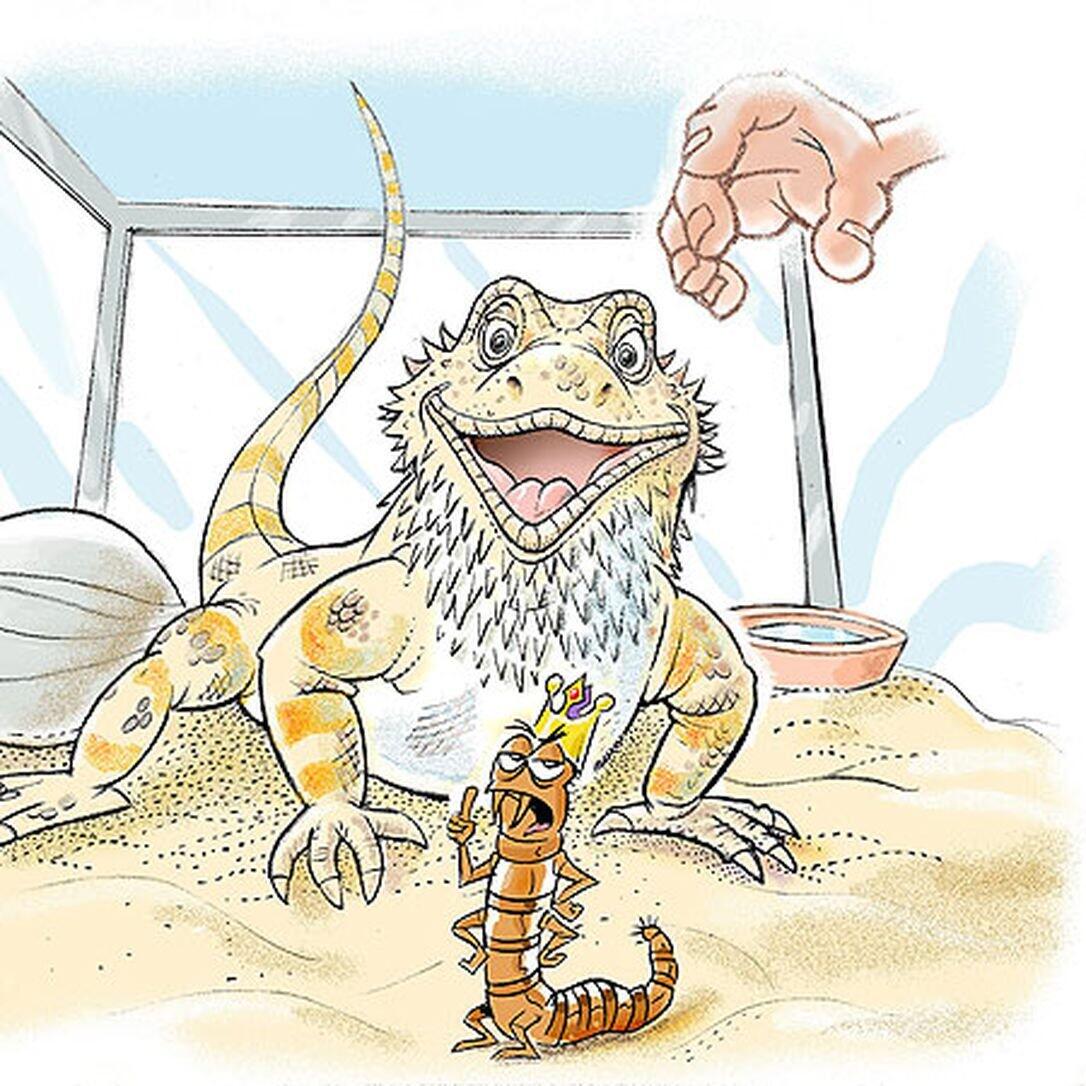 Mealworm Masters - Nextdoor