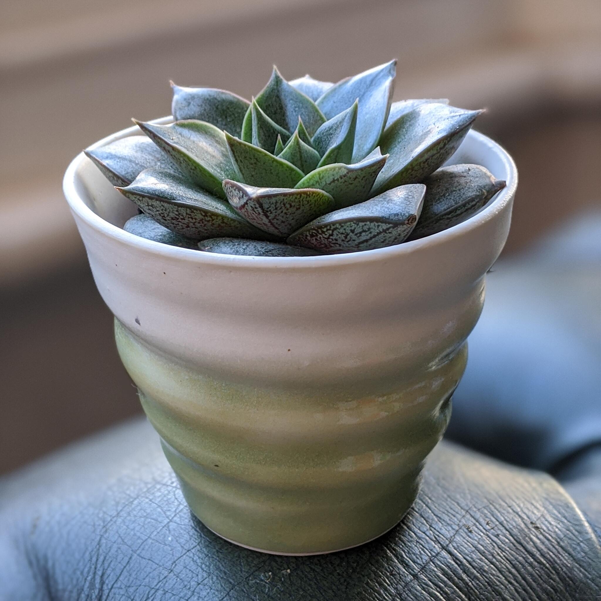 Burnt Crust Pottery - Nextdoor