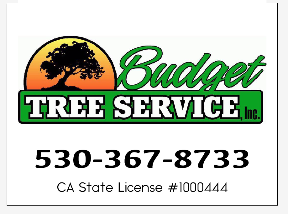 Budget Tree Service - Nextdoor