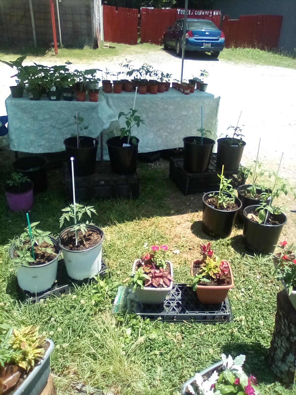 Starenterprize - Rex, GA - Nextdoor