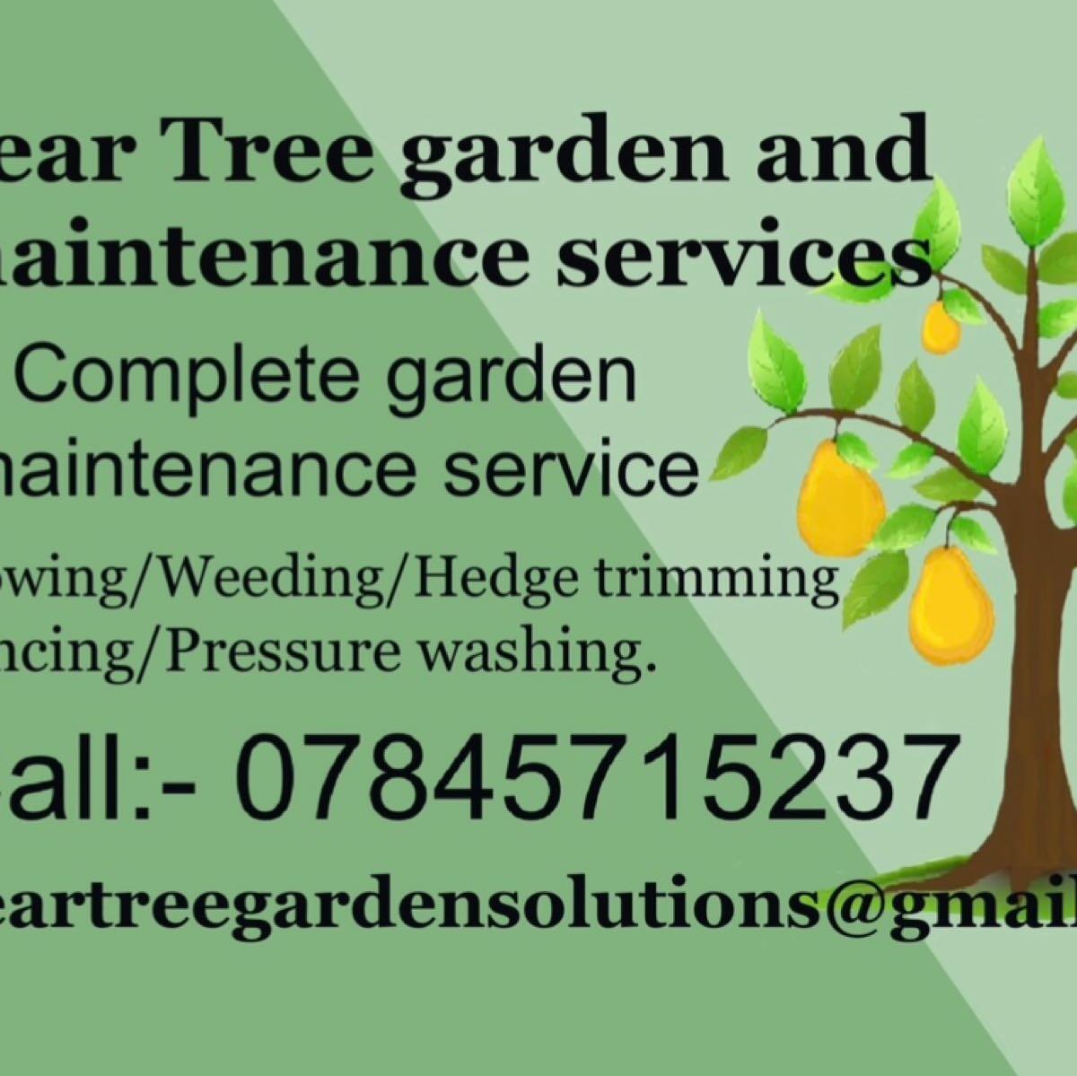 Pear tree Garden and maintenance - Swindon - Nextdoor