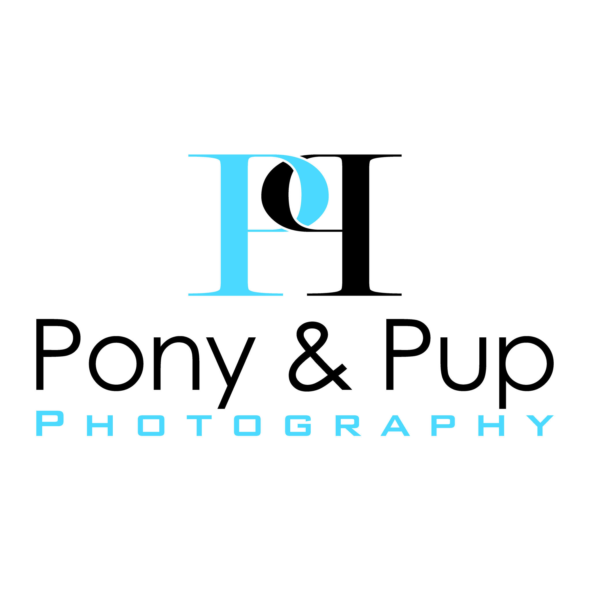 Pony & Pup Photography - Wadhurst, England - Nextdoor