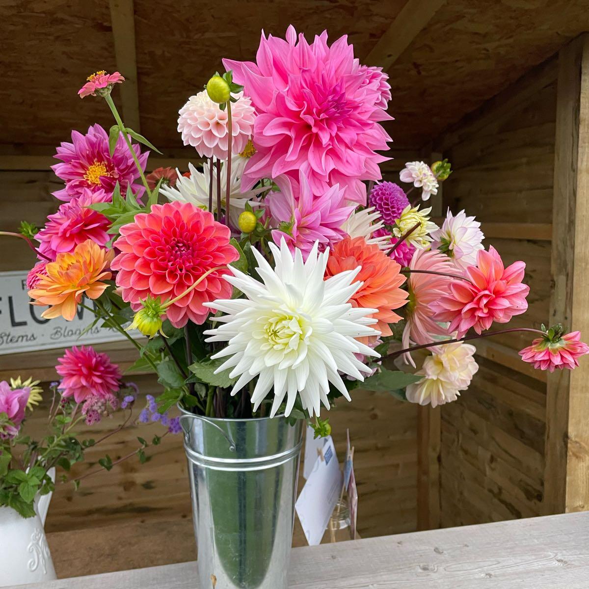 The Cornish Flower Patch - Nextdoor