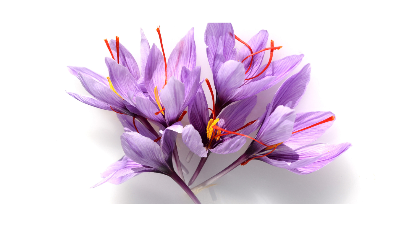 Cynthia Rao Counselling - London - Nextdoor