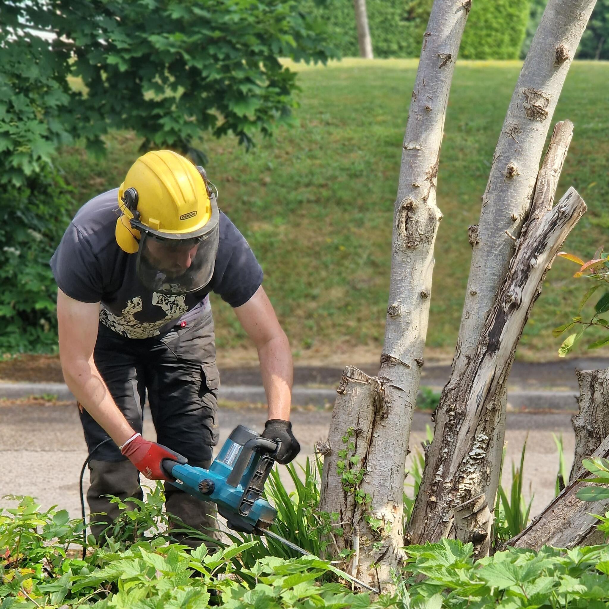 Creech_Garden_Works - Nextdoor
