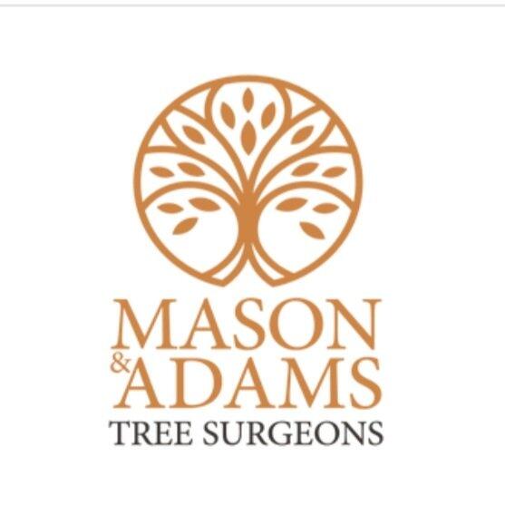 Mason Adams Tree Surgery and Aboriculture - Stroud, England - Nextdoor