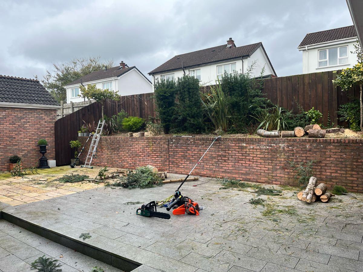 R&R Tree Maintenance - Newtownabbey, GB-NIR - Nextdoor
