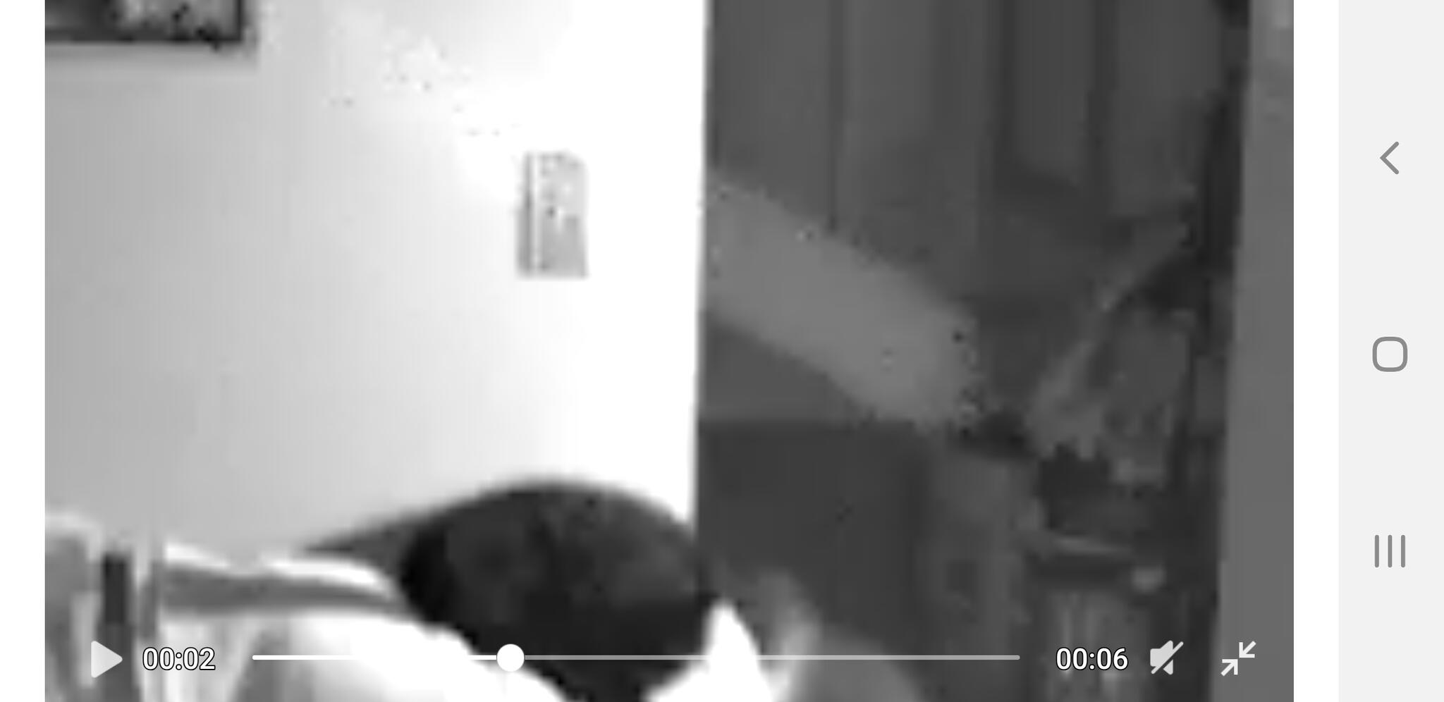 tampa paranormal research team - Nextdoor