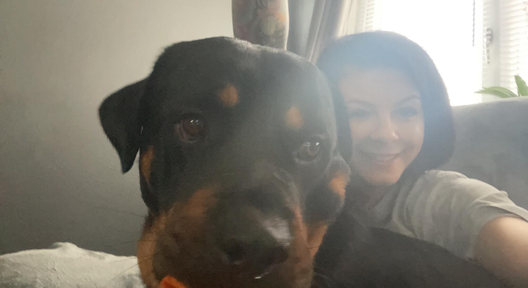 Minas Dog Walking - Nextdoor