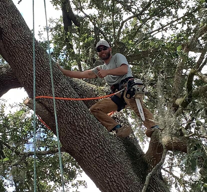 MKC Tampa lawn&Tree Services - Tampa, FL - Nextdoor
