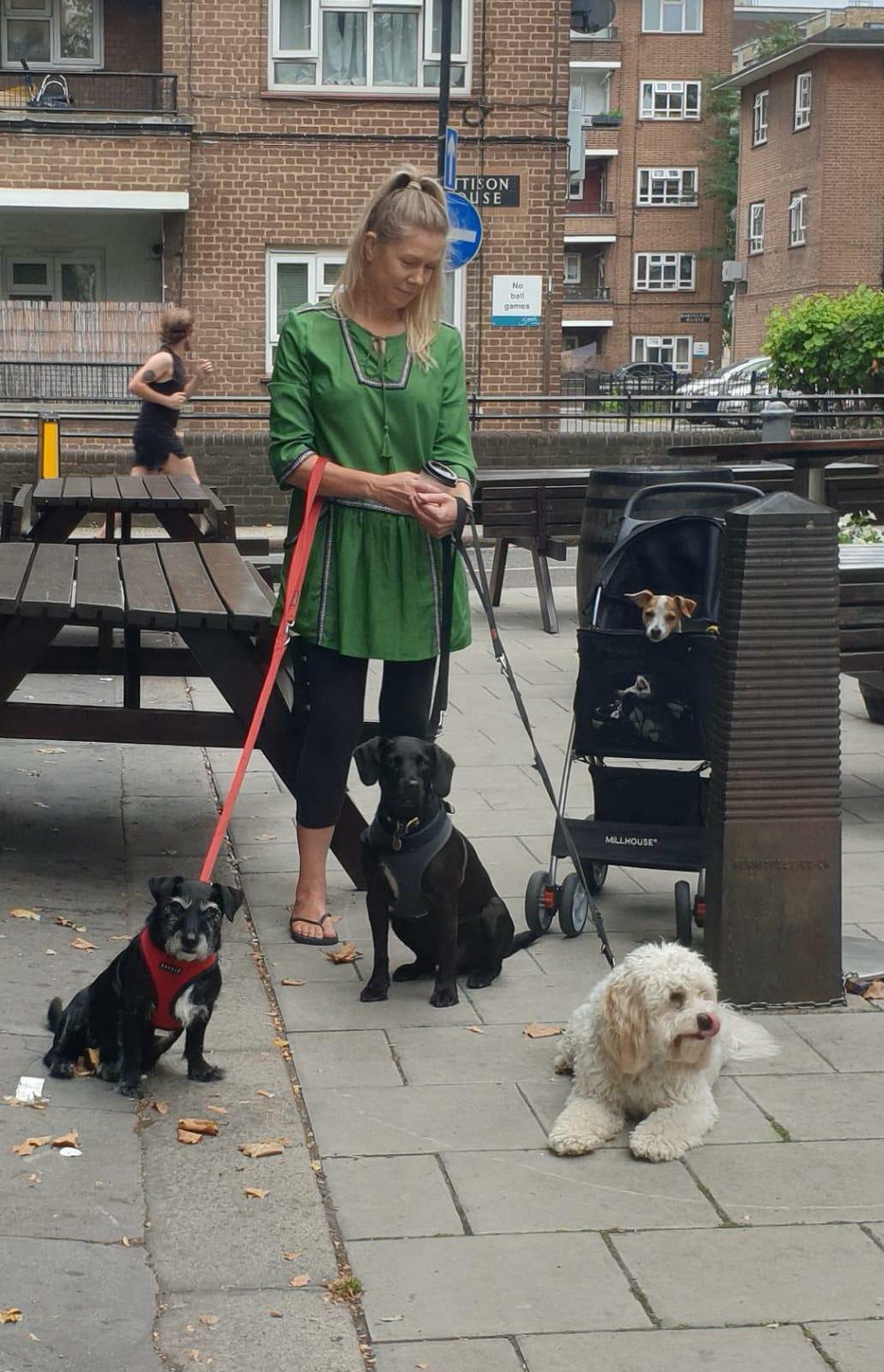 Katrina Maclean - London - Nextdoor