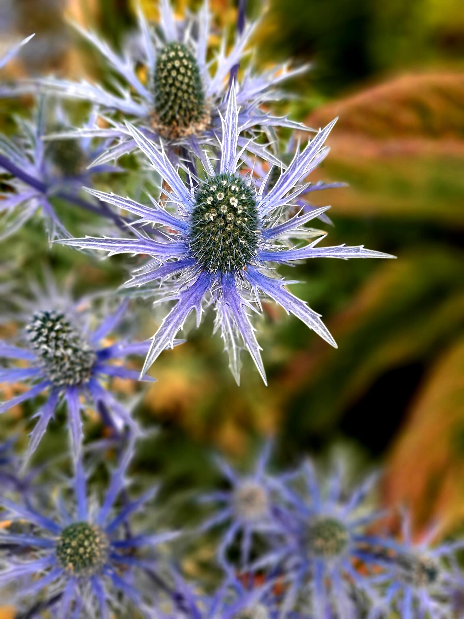 Crofthandy Village Hall - Redruth - Nextdoor
