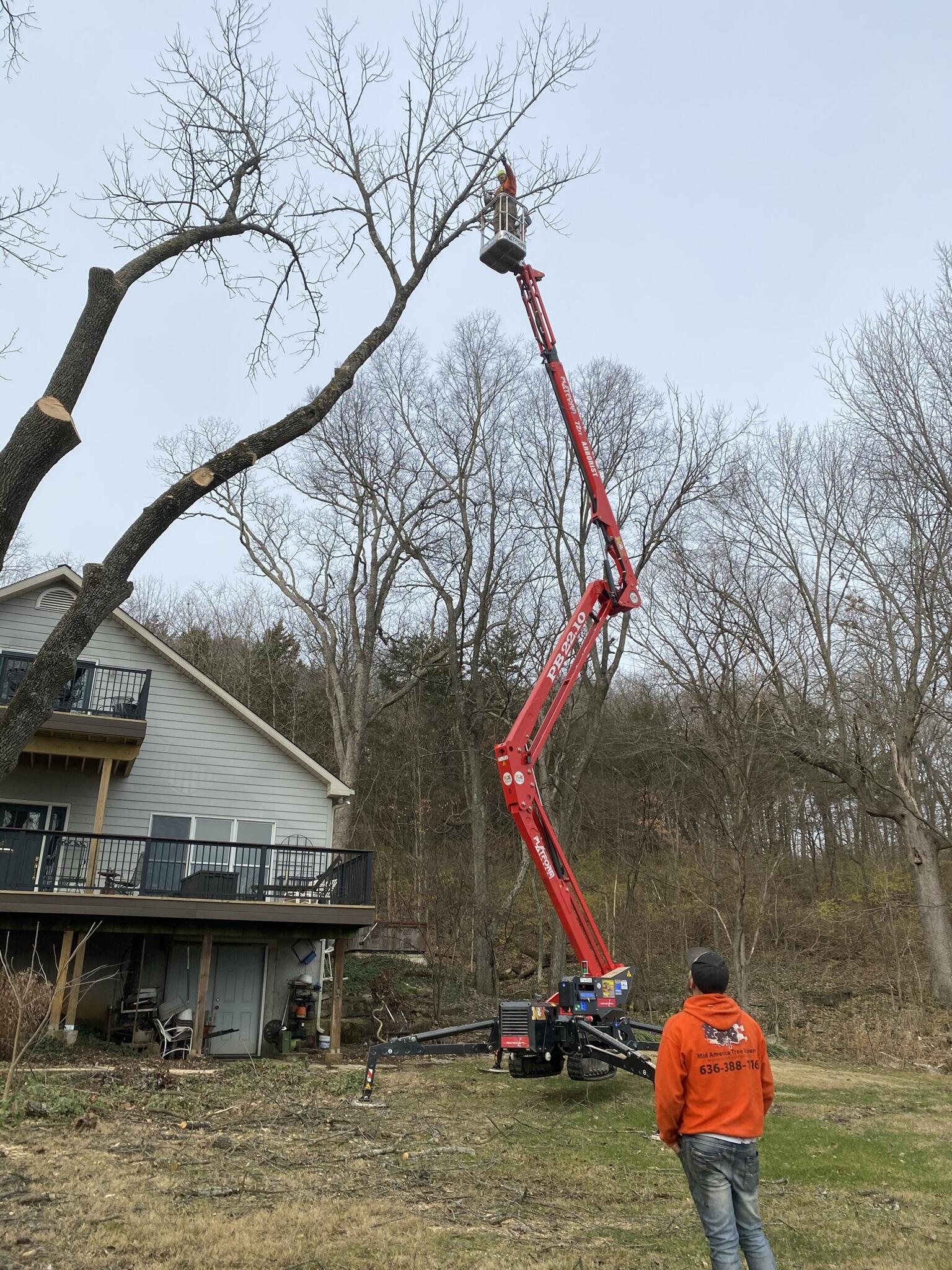 Mid America Tree Experts - Nextdoor