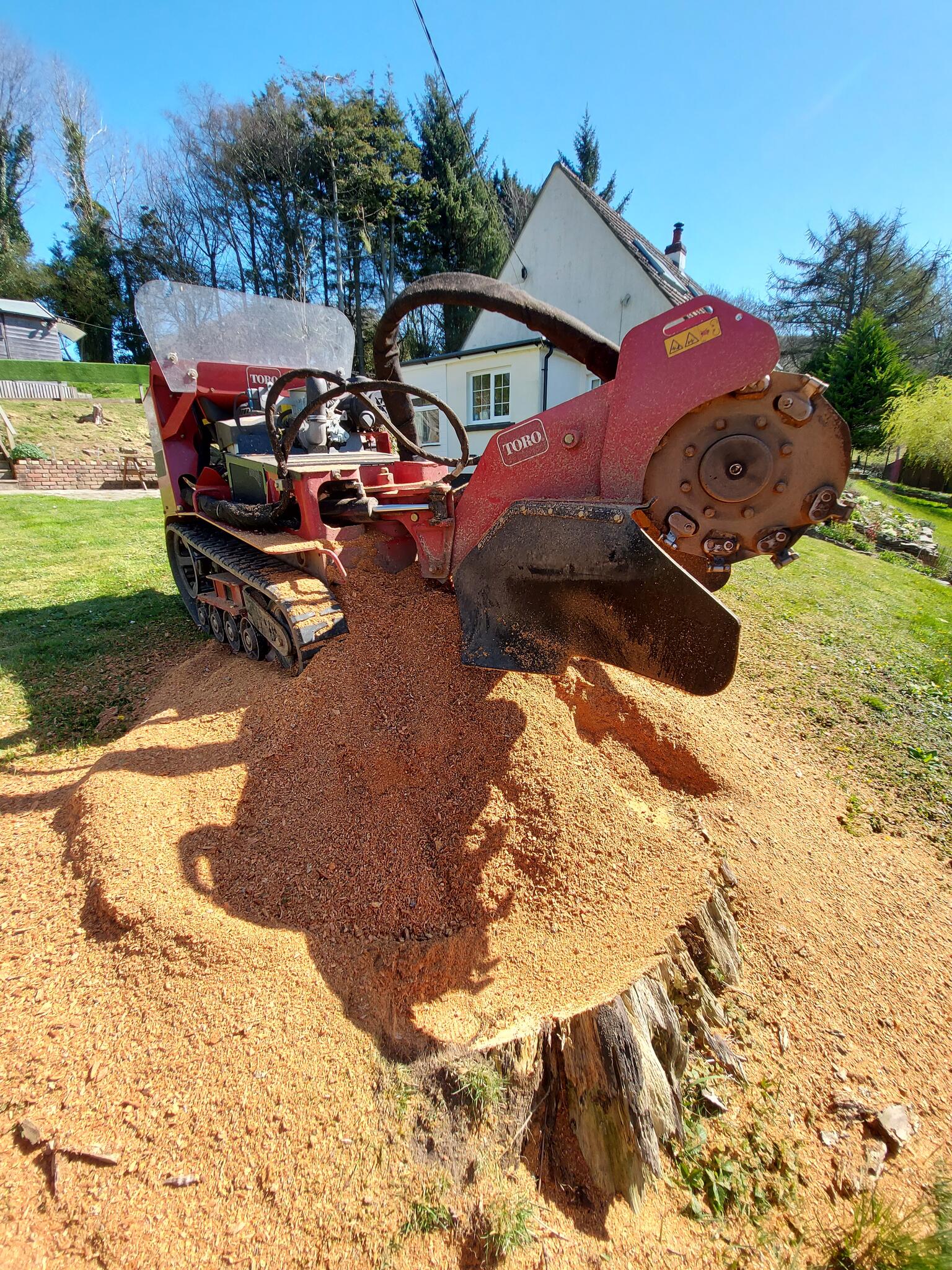 Gavin Hendry Elite Tree Stump Removal - Barnstaple - Nextdoor