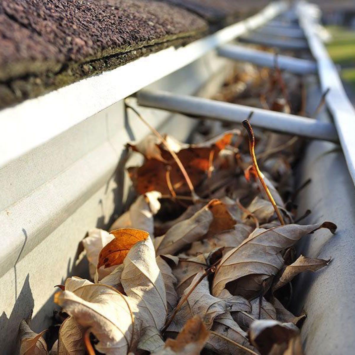 KG Gutter Service - Manor, TX - Nextdoor