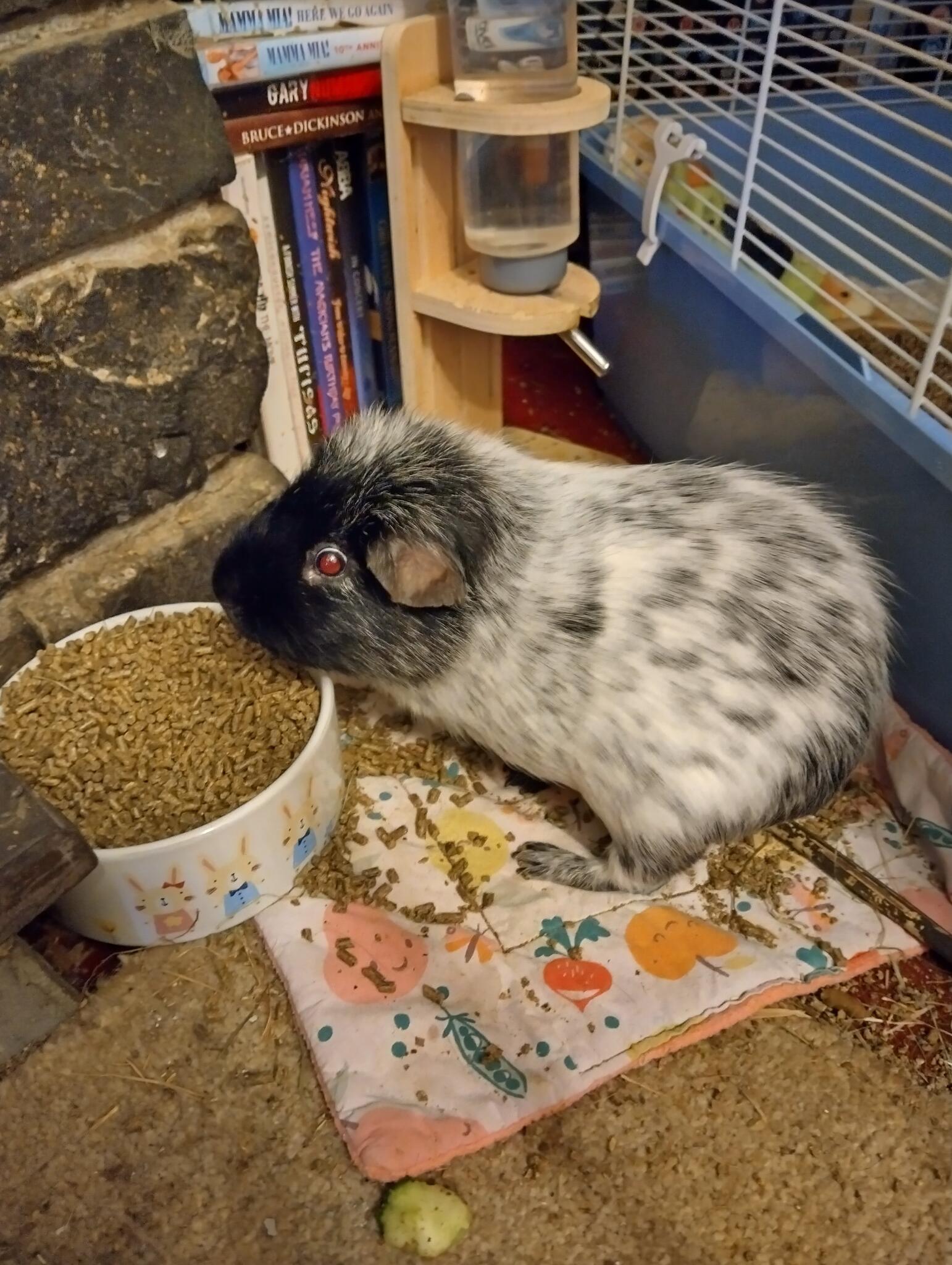 Penny Jackson - Nextdoor