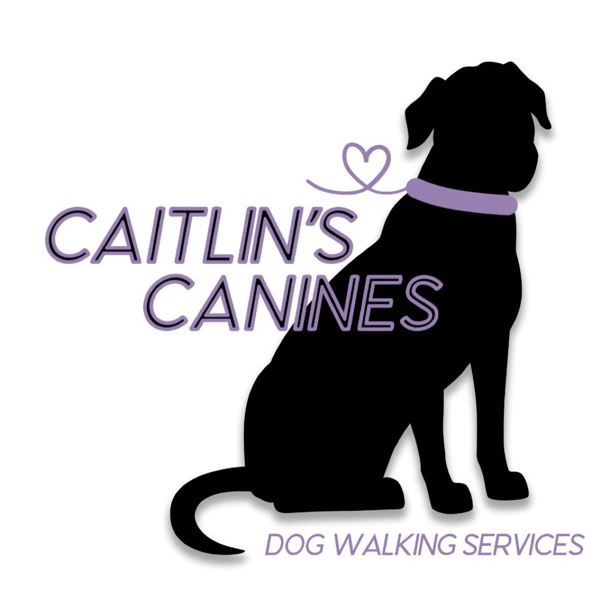Caitlins Canines 1:1 Dog Walking Service - Rotherham - Nextdoor