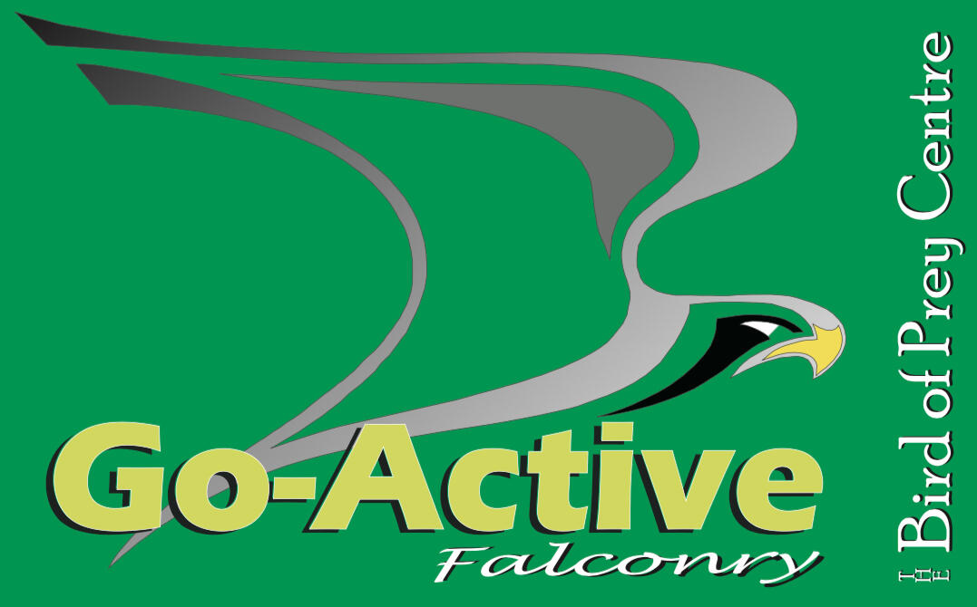 Go Active Falconry - Newark-on-Trent, GB-ENG - Nextdoor
