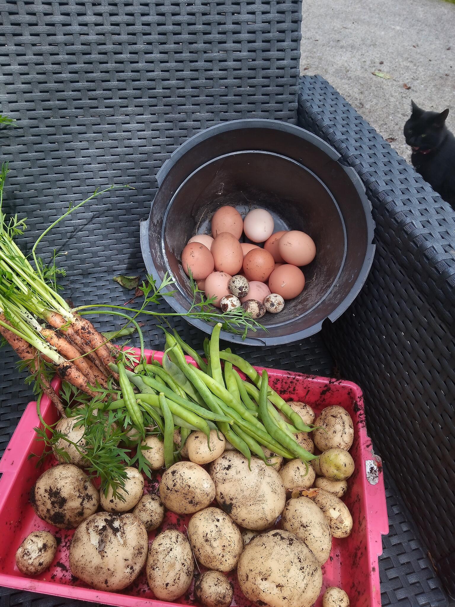 heartwell garden farm - Wrexham, GB-WLS - Nextdoor