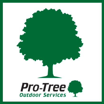 Pro-Tree Outdoor Services - Excelsior, MN - Nextdoor
