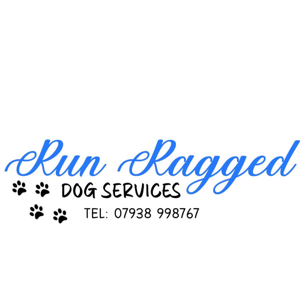 Run ragged Dog Services - Nextdoor