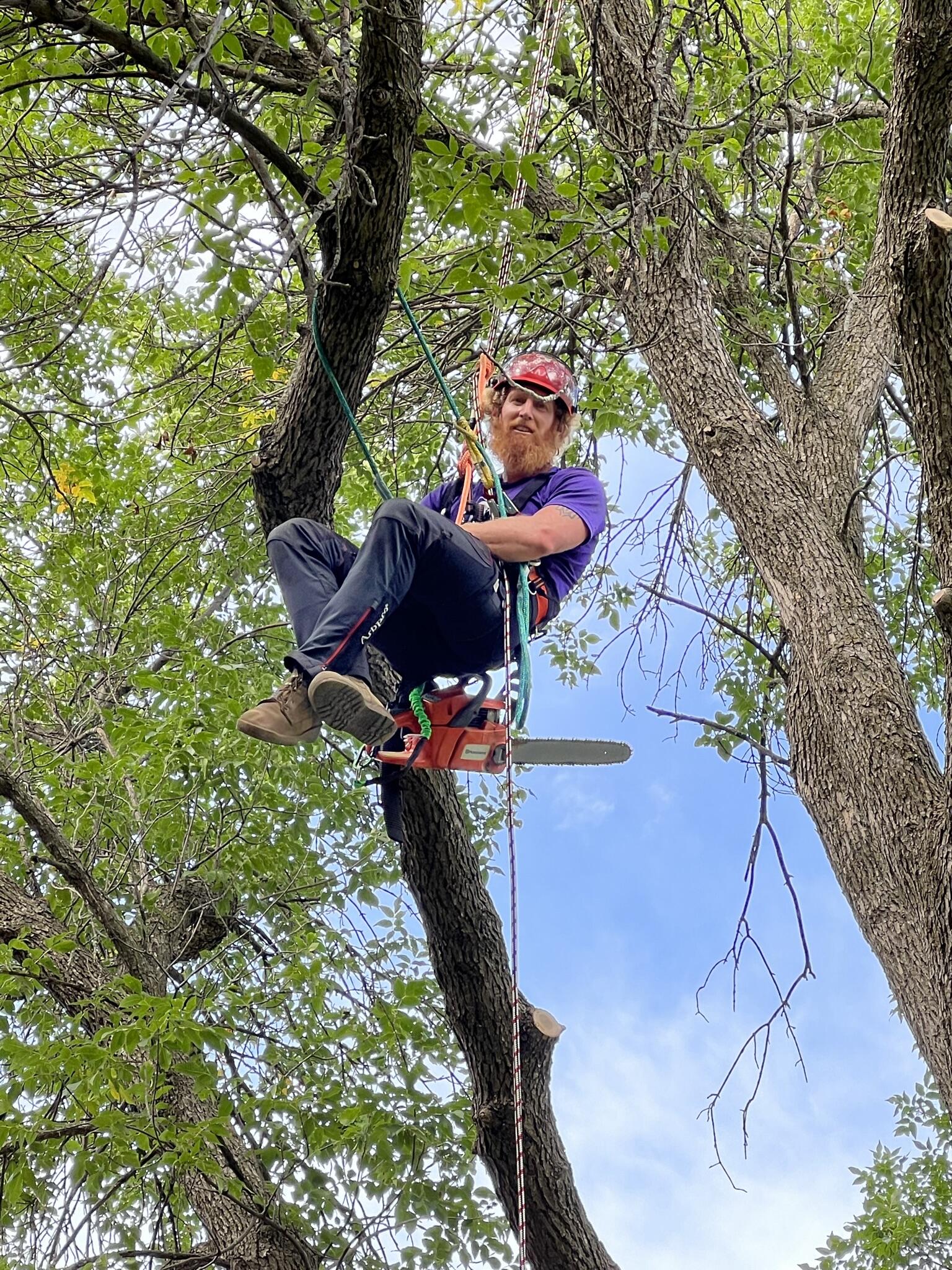 Team Sweno Tree Service - Center City, MN - Nextdoor