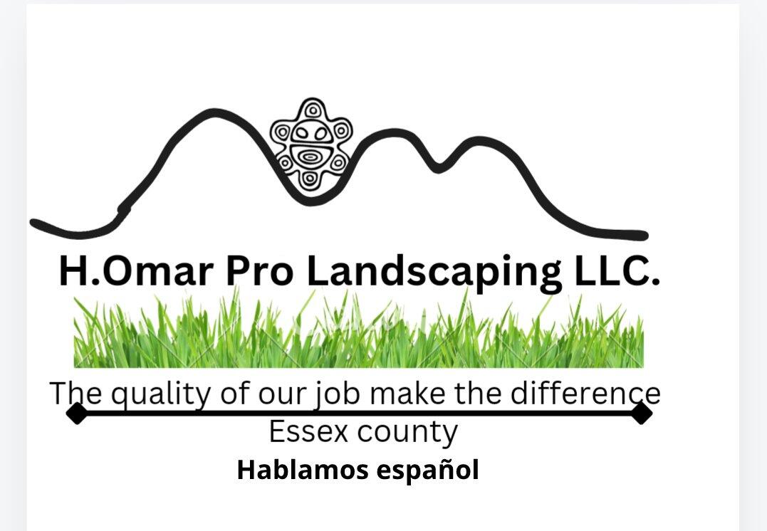 H.omar pro landscaping llc - Nextdoor