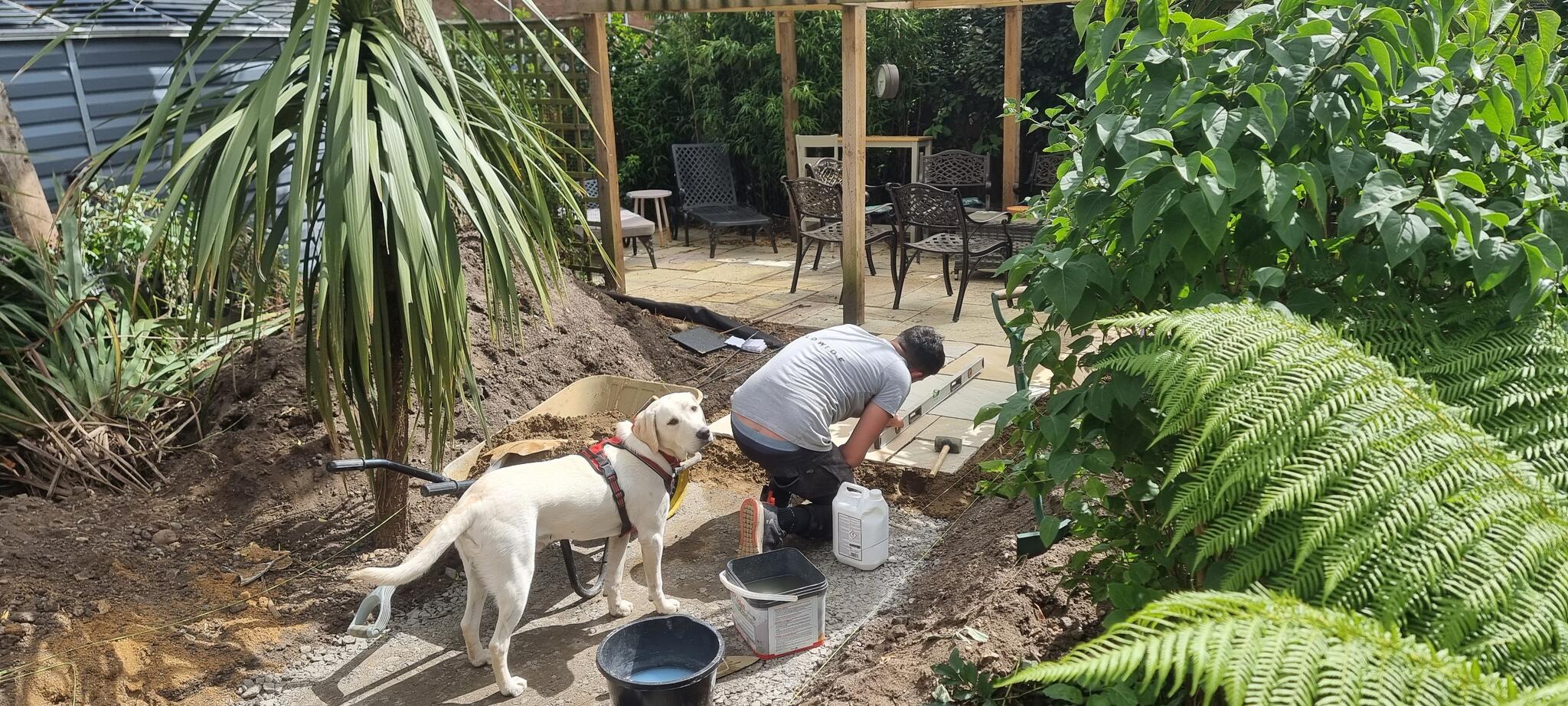 James Steven - Landscapes and Lawns - Nextdoor