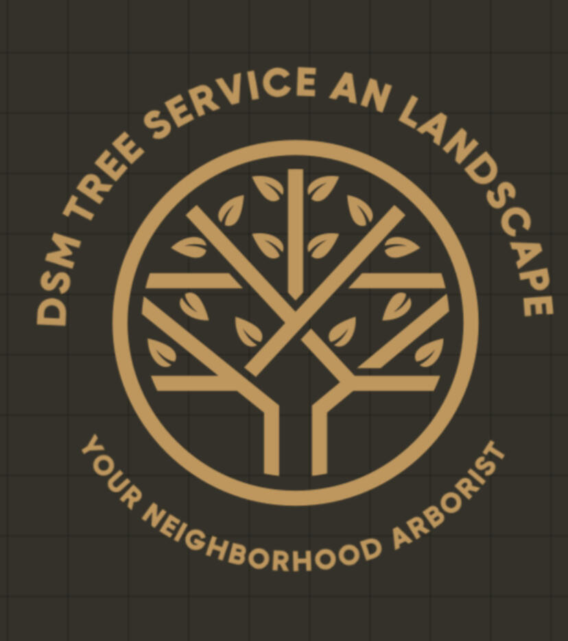 Dsm tree service - Springfield, MO - Nextdoor