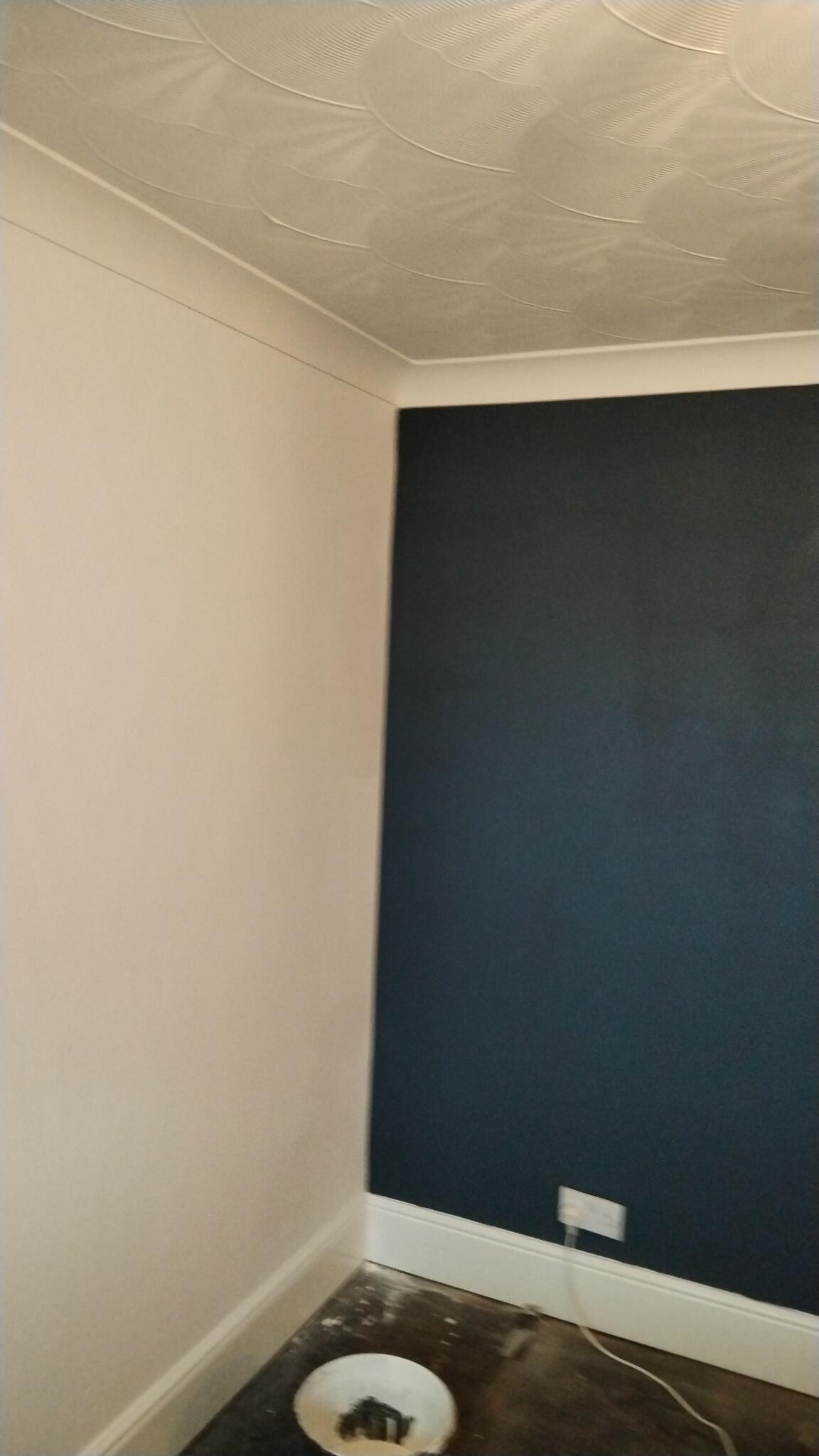 Painter And Decorator Nextdoor