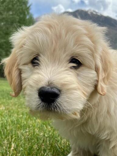 Ewa’s Touch - Kailua, HI - Nextdoor