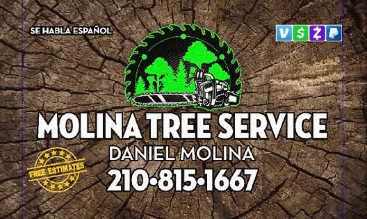 Molina tree service - San Antonio, TX - Nextdoor