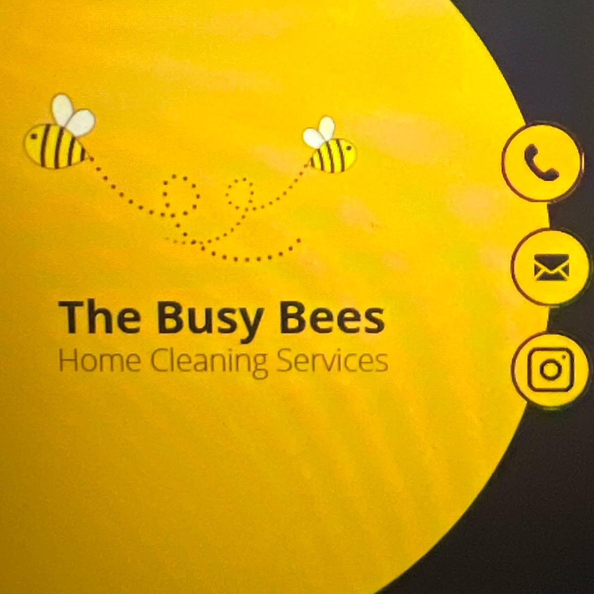 Busy Bee Home Cleaning - Nextdoor