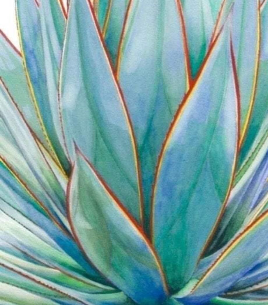 Agave Adult Medical Care - Sedona, AZ - Nextdoor